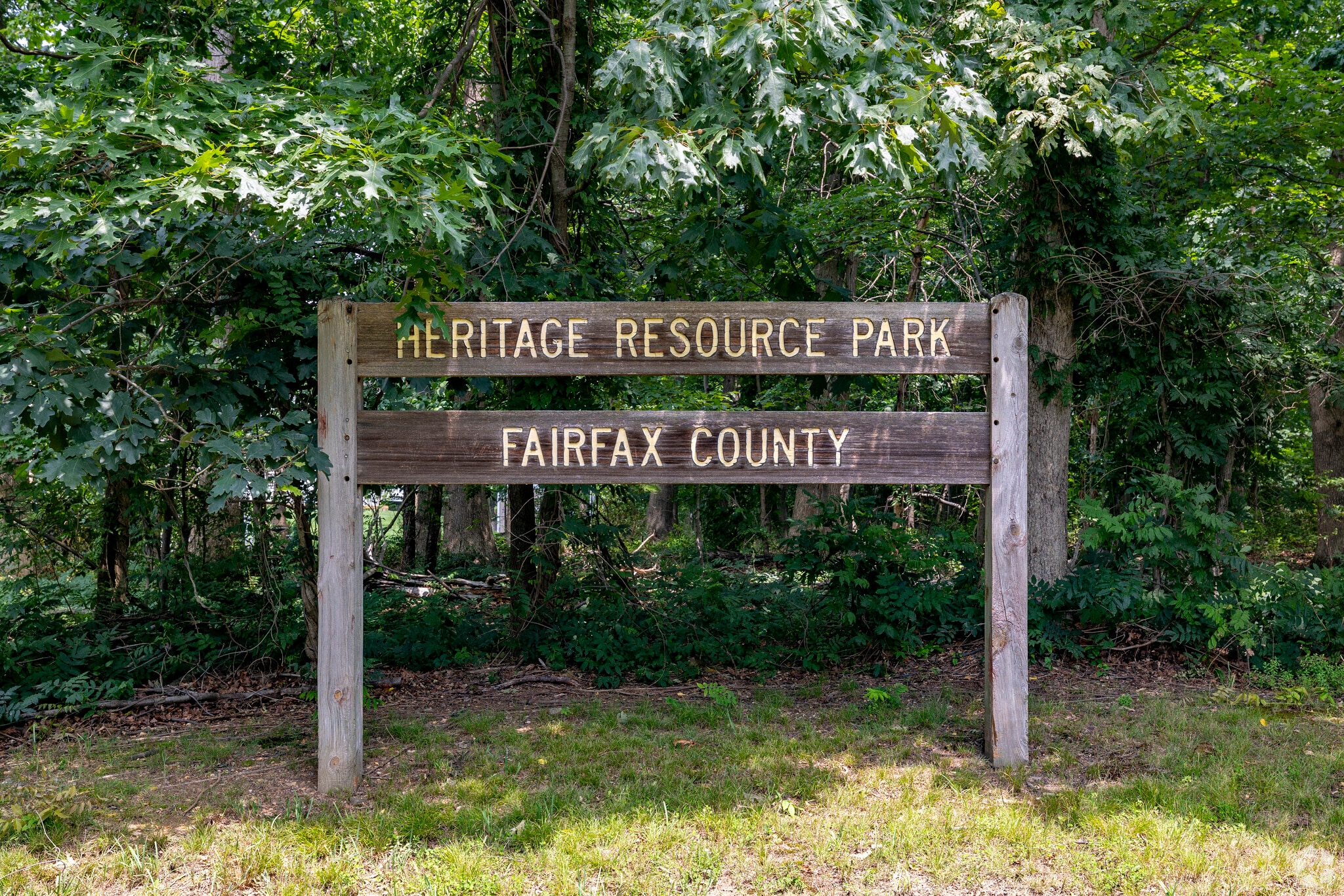 Tysons, VA City Guide | About Living in Tysons - Homes.com