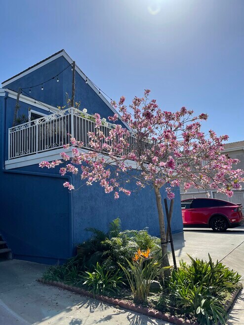 1419 California St Unit 3, Huntington Beach, CA 92648 | Homes.com
