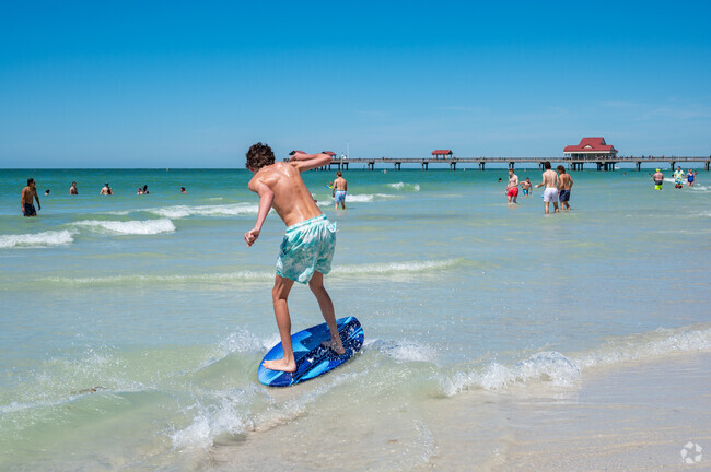 About Clearwater Beach | Schools, Demographics, Things to Do - Homes.com About Clearwater Beach | Schools, Demographics, Things to Do - Homes.com