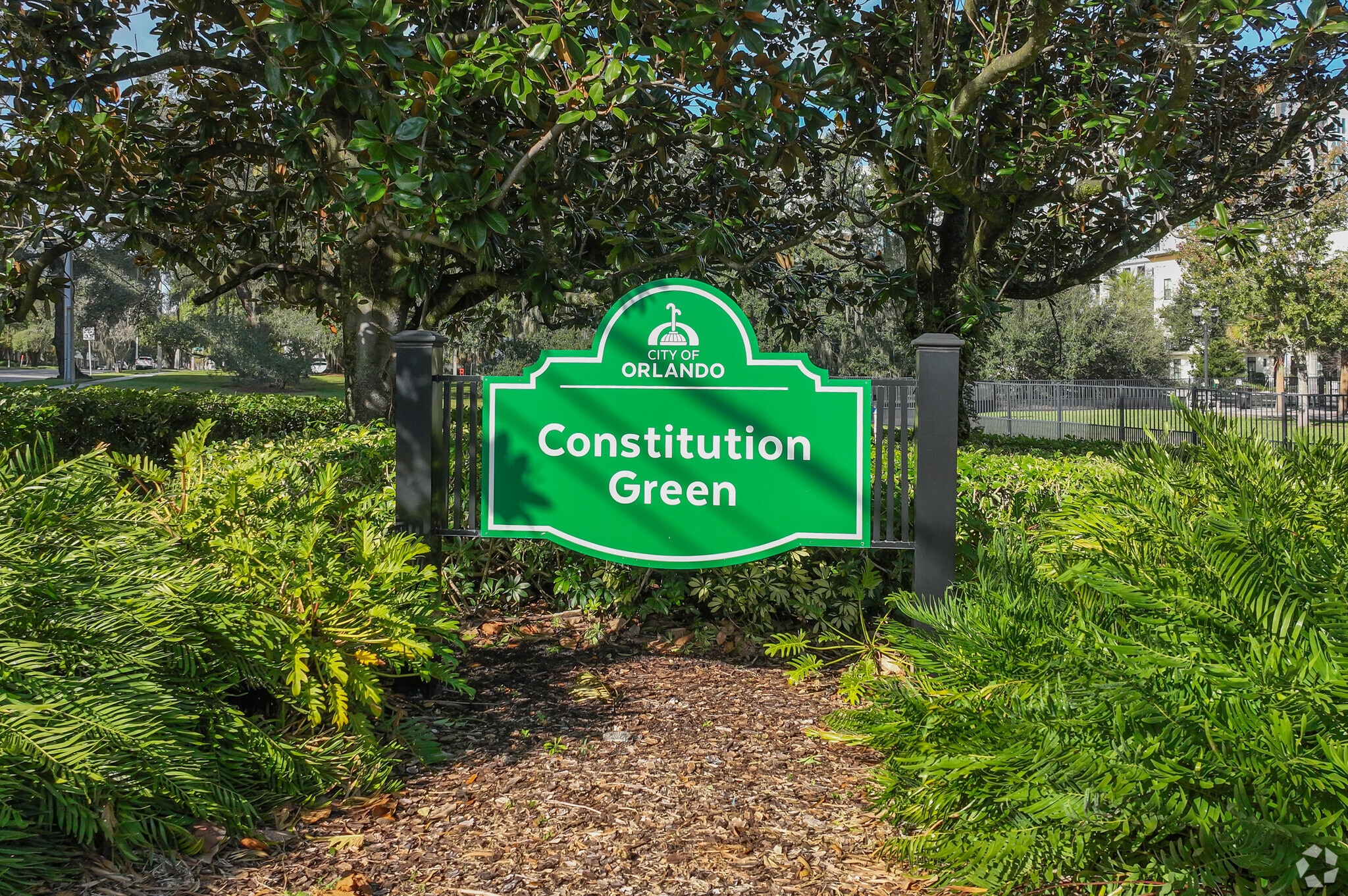 About The Jackson Orlando Fl Hoas Reviews Amenities