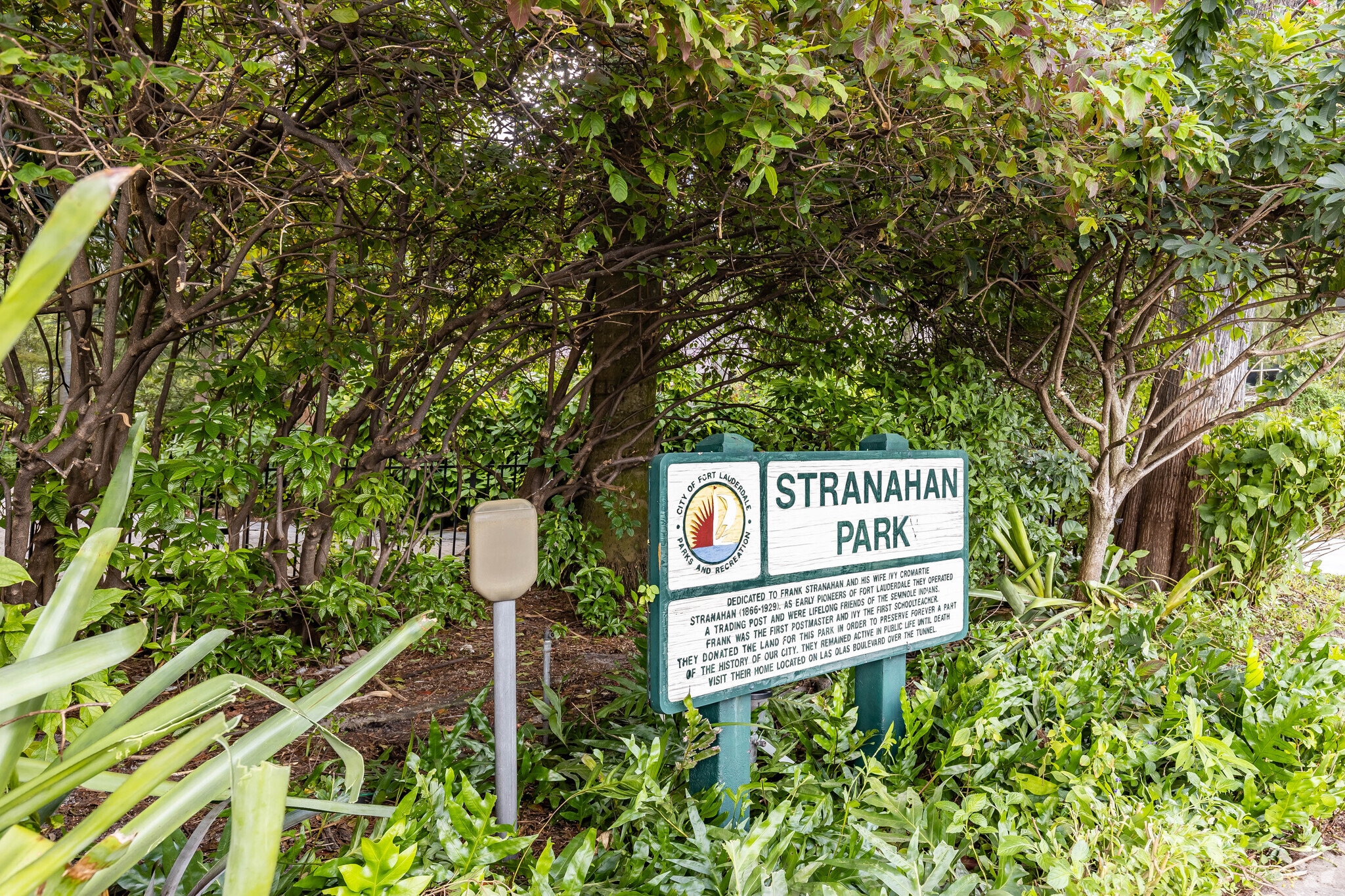 About Downtown Fort Lauderdale | Schools, Demographics, Things to Do - Homes.com