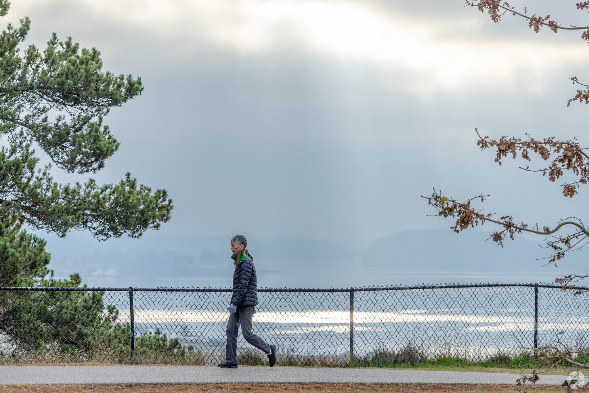 University Place, WA City Guide | About Living in University Place - Homes.com