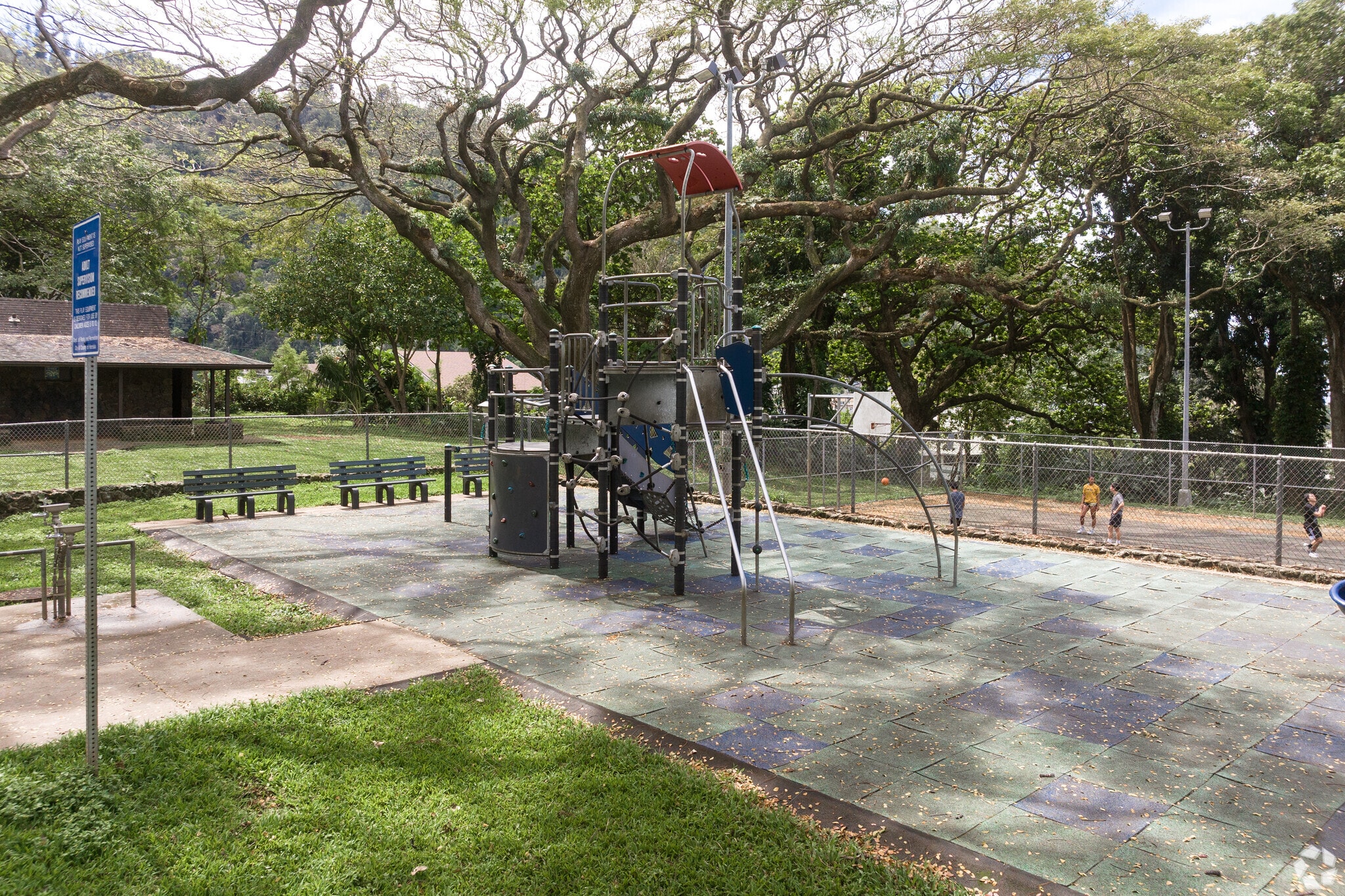 About Nuuanu-Punchbowl | Schools, Demographics, Things to Do - Homes.com