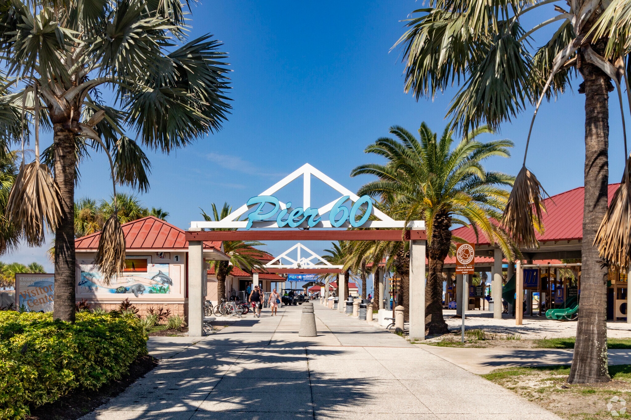 About Clearwater Beach | Schools, Demographics, Things to Do - Homes.com About Clearwater Beach | Schools, Demographics, Things to Do - Homes.com