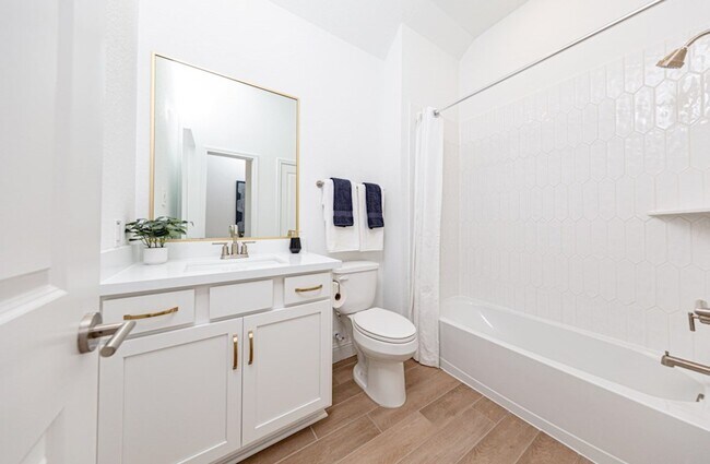 Reflection Plan at Elyson | Homes.com