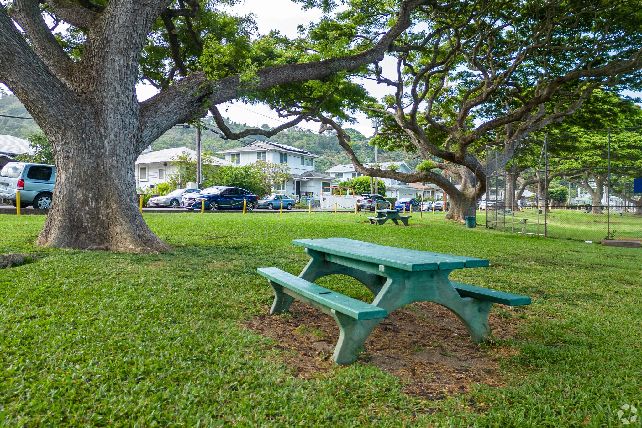 About Nuuanu-Punchbowl | Schools, Demographics, Things to Do - Homes.com
